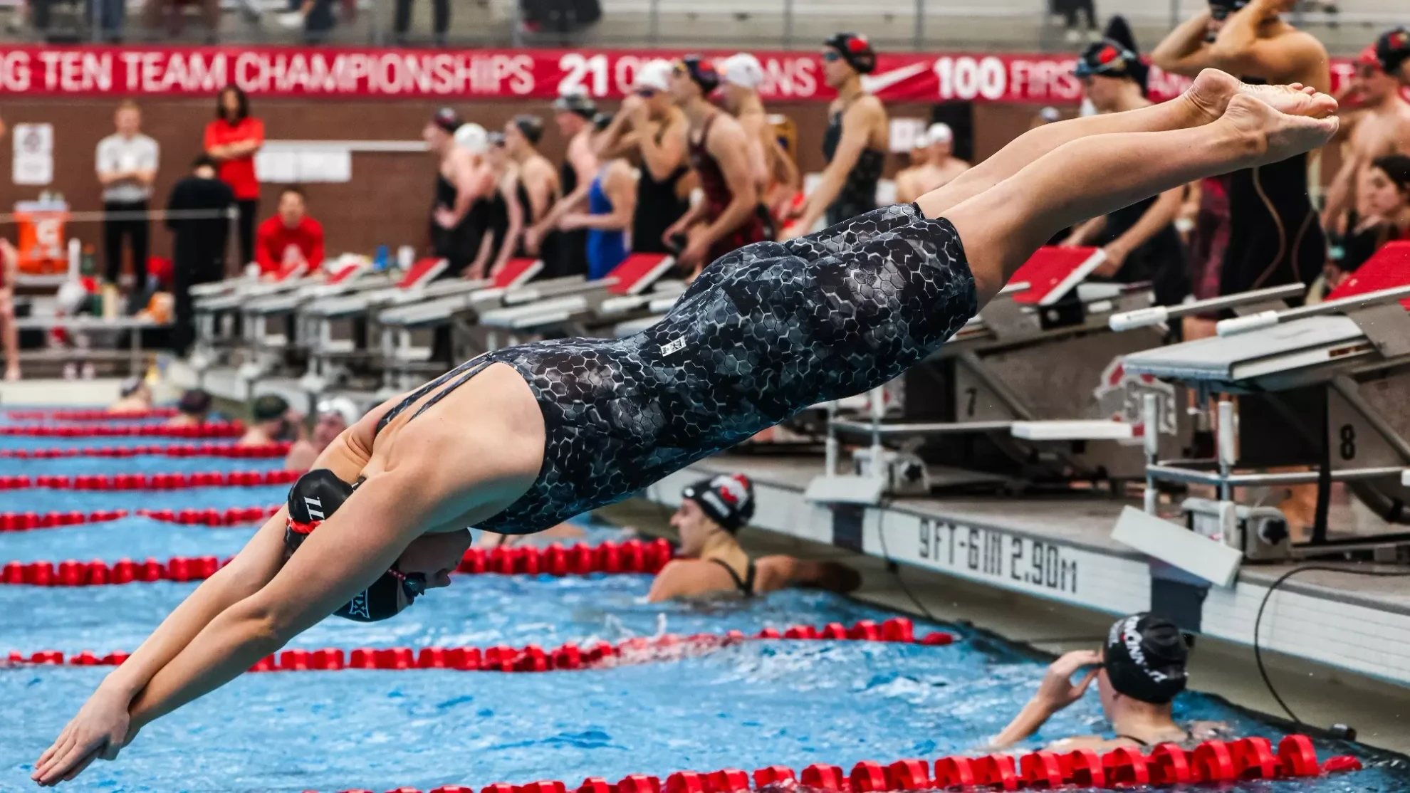 Swimming and Diving to Compete in CSCAA Open Water Championships ...