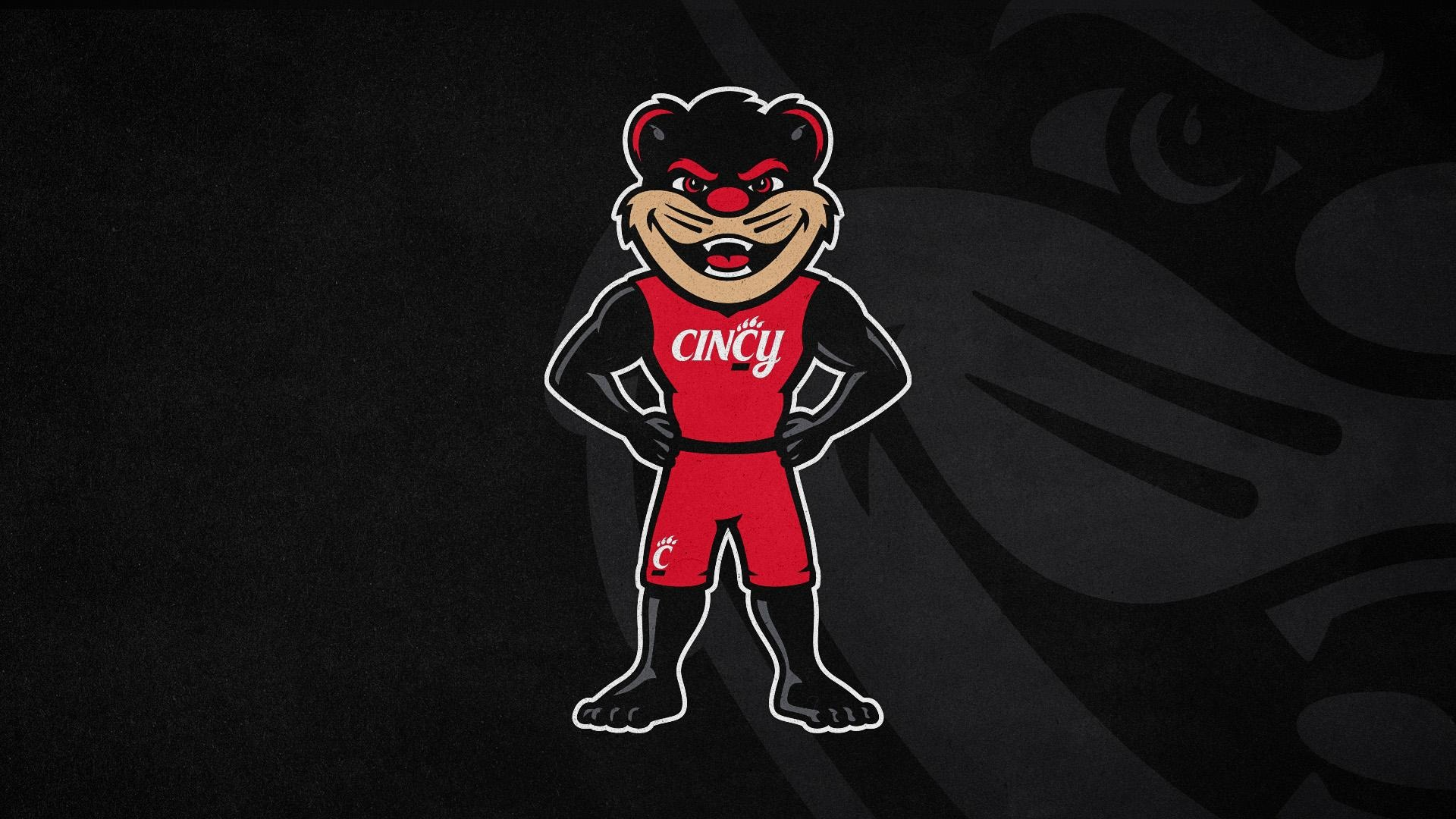 University of Cincinnati Unveils Refreshed Bearcat Mascot Graphics ...