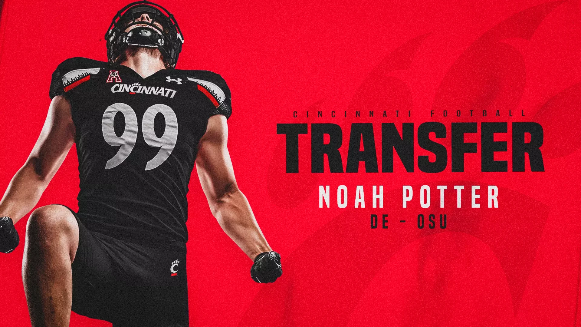 Bearcats Add Transfer Defensive Lineman Noah Potter - University of ...