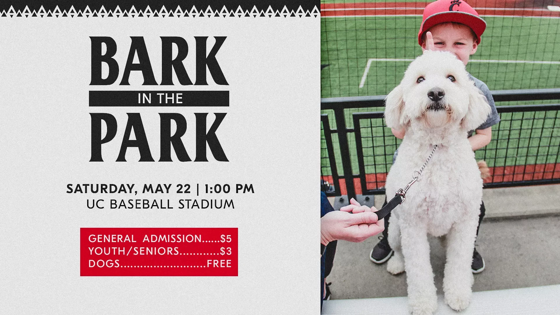 Baseball Bark In The Park Set For Saturday, May 22 - University of ...
