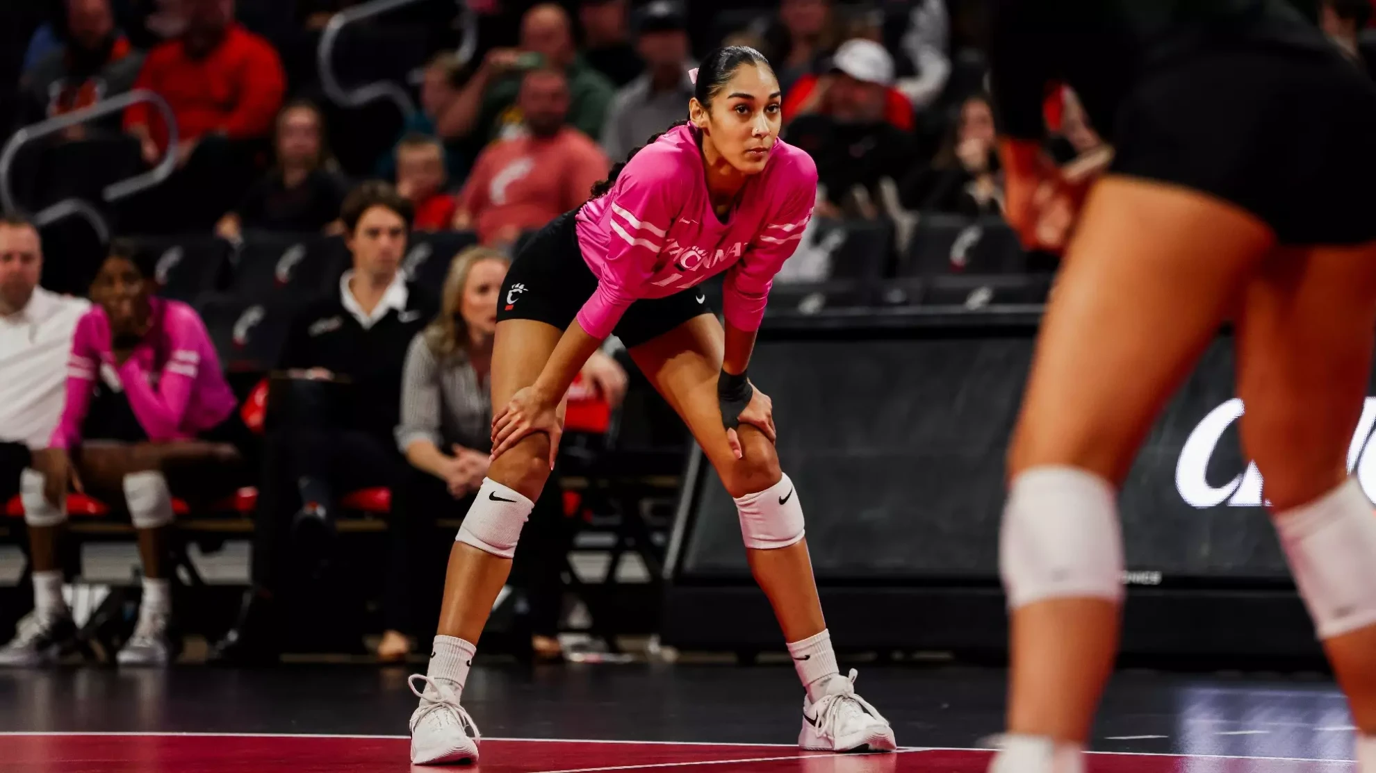 Elissa Alcantara Signs Pro Contract with Valencianas de Juncos ...